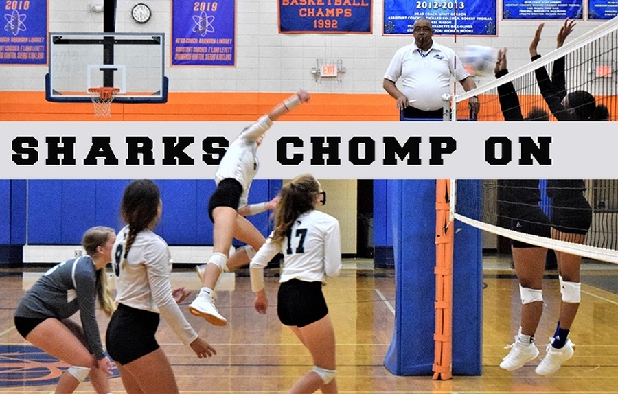 Islands High School Volleyball Chomps 2 More Wins : Prep Sports Report